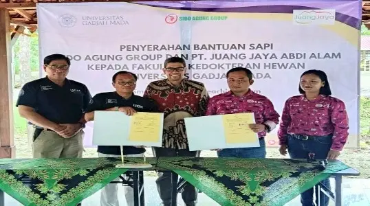 PT. JJAA Serahkan 40 Sapi Indukan Produktif untuk Pembelajaran dan ...